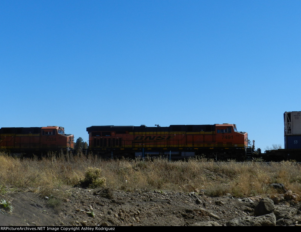 BNSF 7491